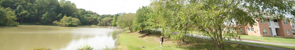 Community Overview - Collington