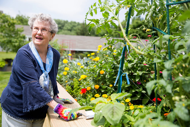 Photo Gallery and Videos - Collington