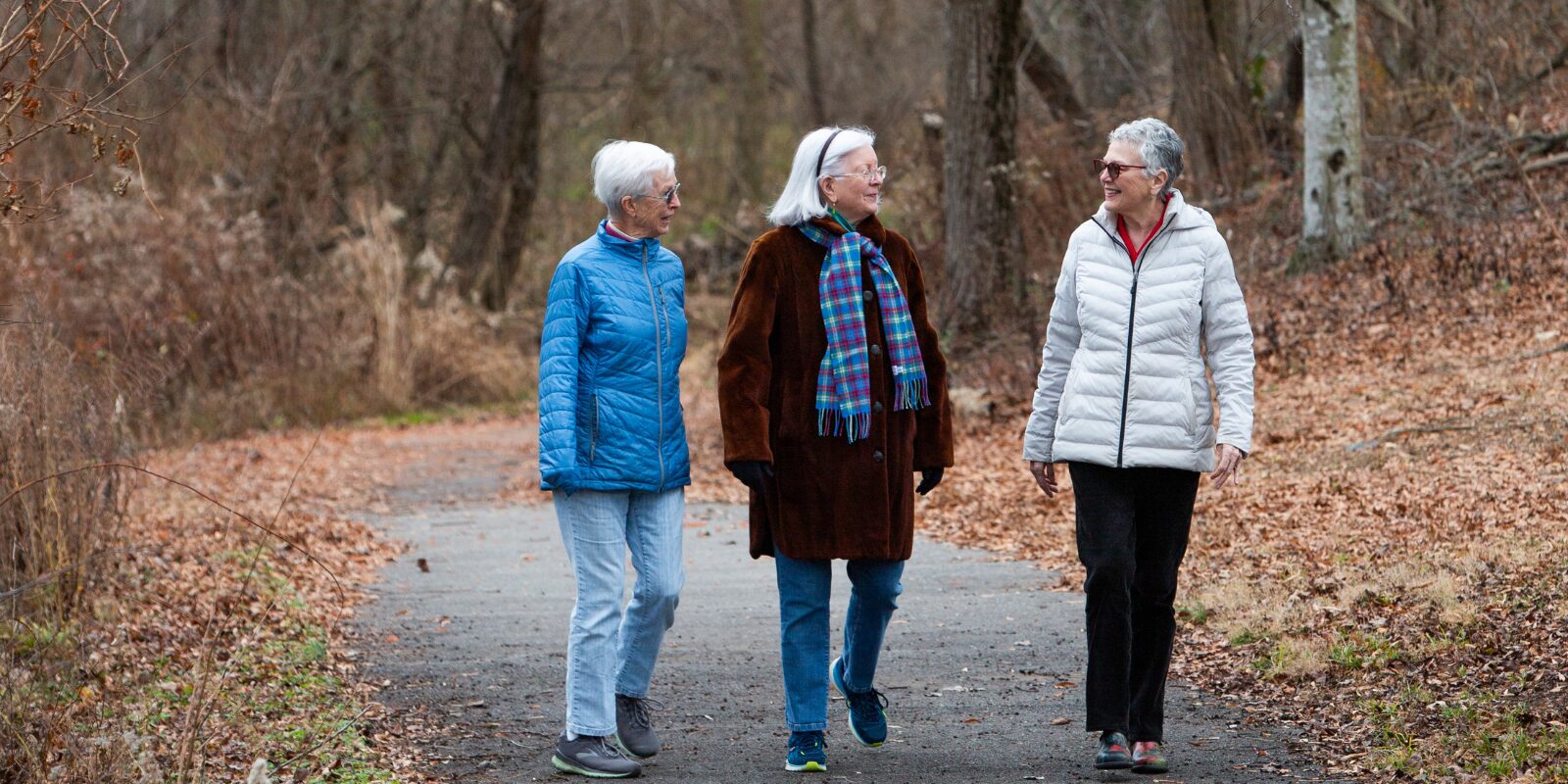 Fall Nature Walk & Tour - Collington